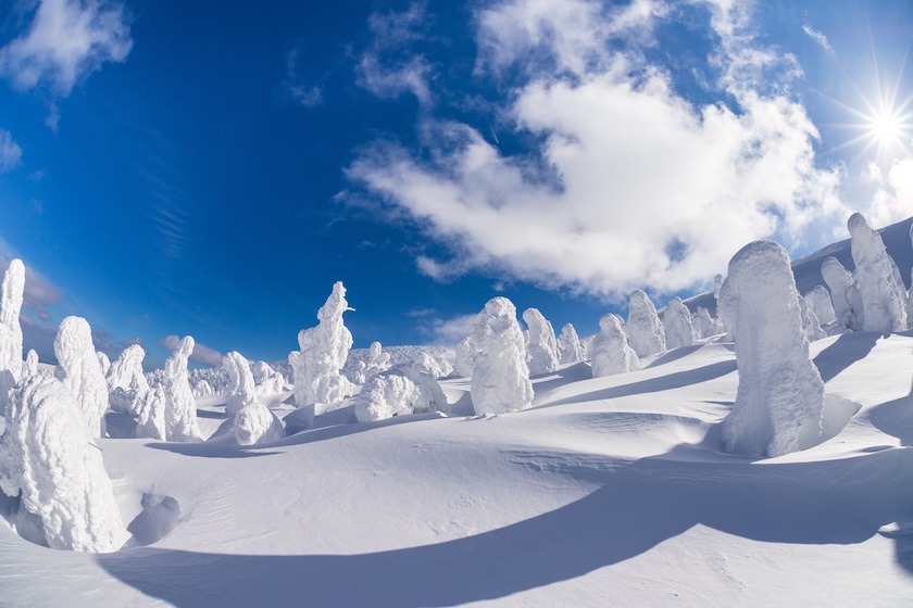 Snow Monsters Japan | Japan Den