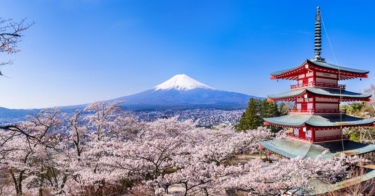 Staying in Japan During Cherry Blossom Season | Japan Den